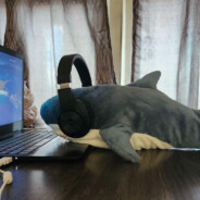 Steam Community :: Blahaj gaming :3