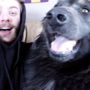 Steam Community :: Peezer