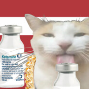 Steam Community :: Adolf Rizzler IRL