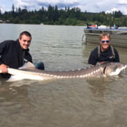 Steam Community :: FELORAN