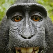 Steam Community :: LANJIAO