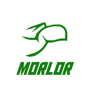 Steam Curator: Morlor Esports