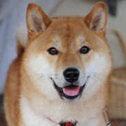 Steam Community :: samu