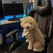 Steam Community :: Rivz