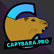 Steam Community :: Group :: Capybara.PRO