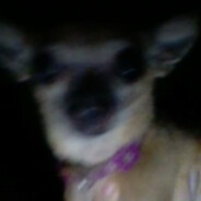 Steam Community :: RADGER_