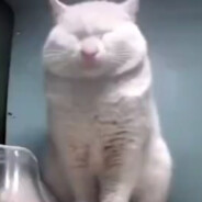 Steam Community :: brother calm