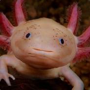 Steam Community :: Axolotl_knight