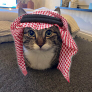 Steam Community :: Sheikh Cat
