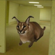 Steam Community :: floppa_gaming