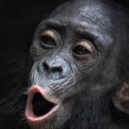 Steam Community :: SWAG