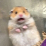 Steam Community :: Wohn Jick