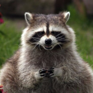 Steam Community :: Mapache.El.Dios