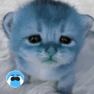 Steam Community :: cat(f2p)