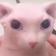 Steam Community :: evil bingus