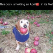 Steam Community :: TwoTwoNine