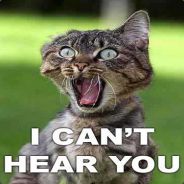 Steam Community :: Papa Flop