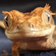 Steam Community :: Crash_gecko