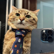 Steam Community :: Brocklee