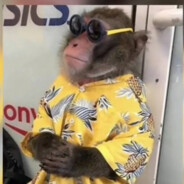 Steam Community :: Super_Monk