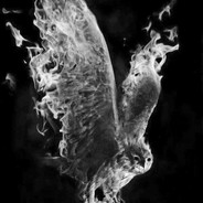 Steam Community :: Fireowl