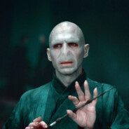 Steam Community :: Lord Voldemort
