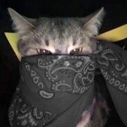 Steam Curator: software games