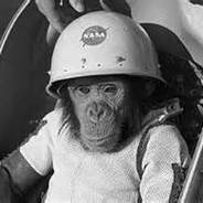 Steam Community :: Ham The Chimp