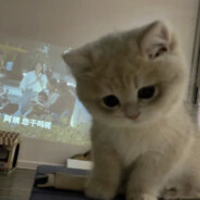 Steam Community :: dadadD