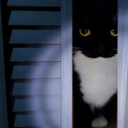 Steam Community :: zBucks