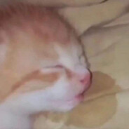 Steam Community :: Eggo