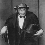 Steam Community :: japi