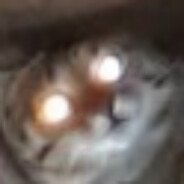 Steam Community :: yeet cat