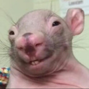 Steam Community :: Autistic Rat