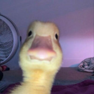 Steam Community :: sdasdasdasda