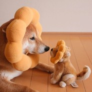 Steam Community :: smirk