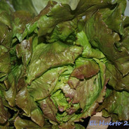 Steam Community :: Group :: Lechuga Bien Pocha