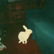 Steam Community :: Good night Maka Baka