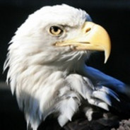 Steam Community :: Mosheb