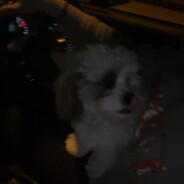 Steam Community :: CENTZ CENTZ CENTZ