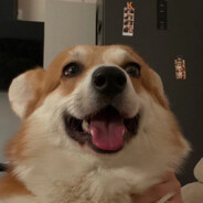 Steam Community :: Dek0.!?