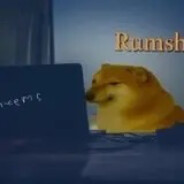 Steam Community :: cheems