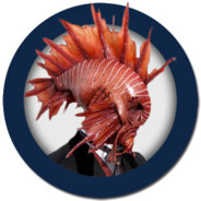 Steam Community :: Jim the Fish