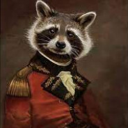 Steam Community :: Captain Raccoon