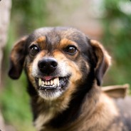 Steam Community :: Doggo