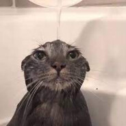 Steam Community :: Lorelius Hogglefart