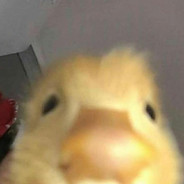 Steam Community :: Murduck