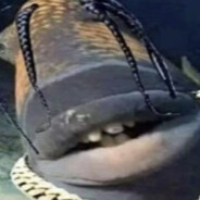 Steam Community :: travis scott fish