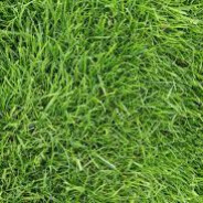 Steam Community :: grass