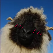 Steam Community :: oreO_sheep